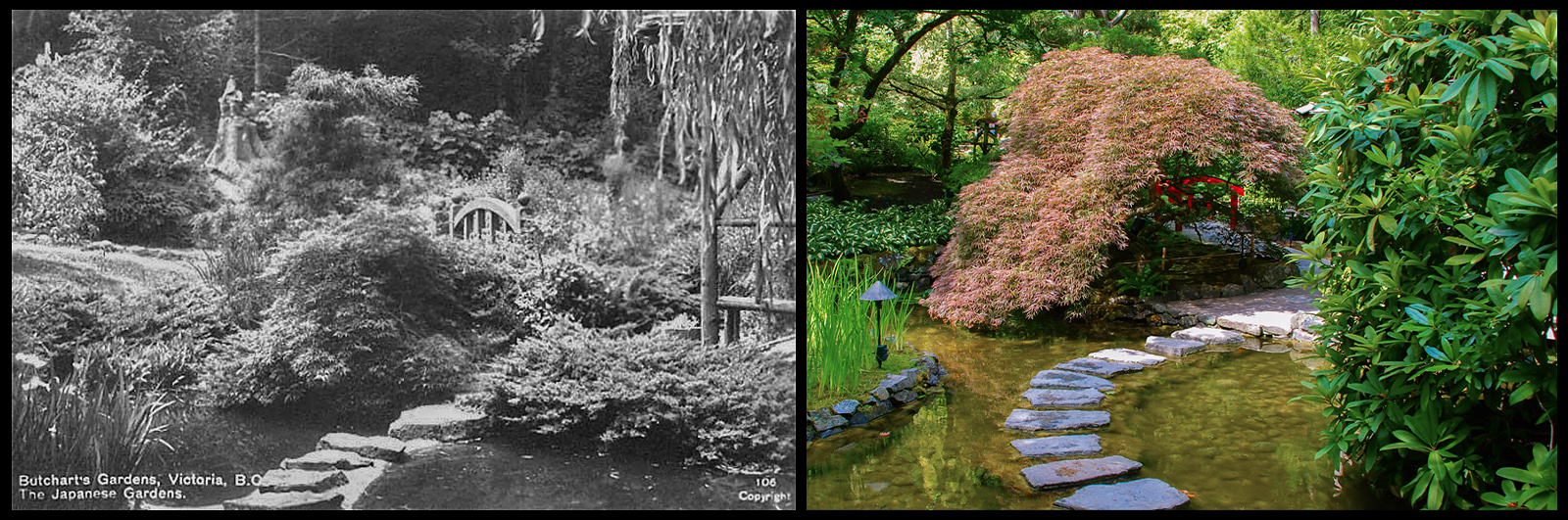 The Butchart Gardens Guide 2026 | Dean McLeod Photography