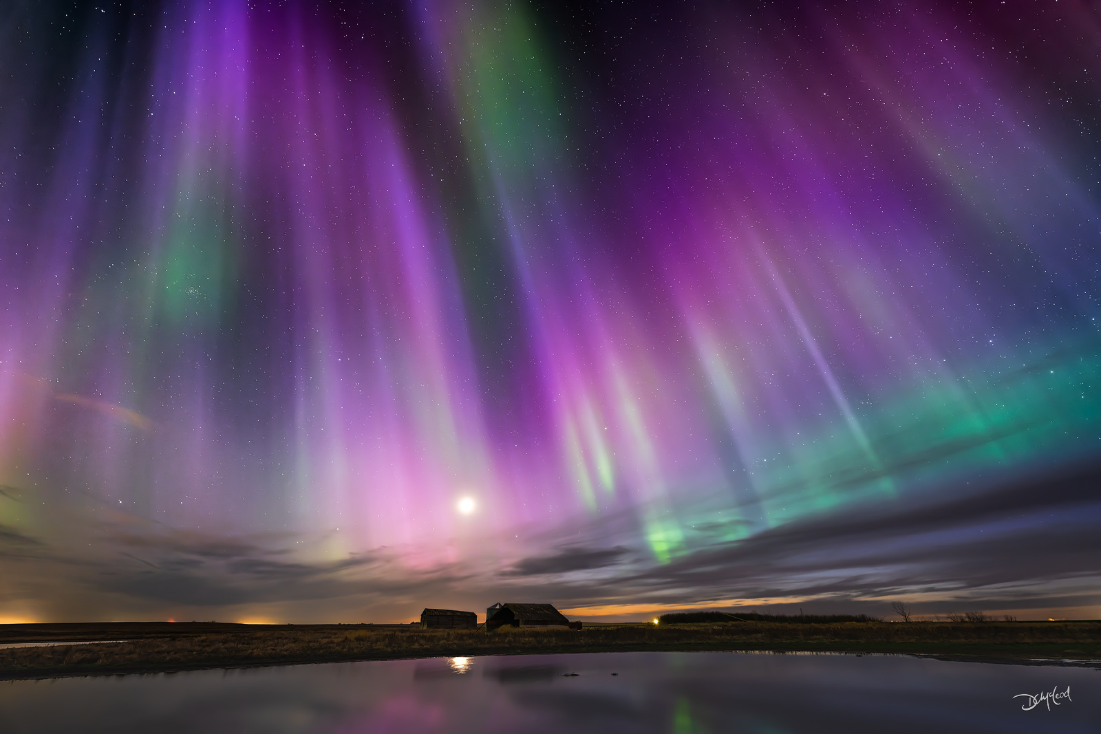 Pink Lady | Porter Lake, SK | Dean McLeod Photography
